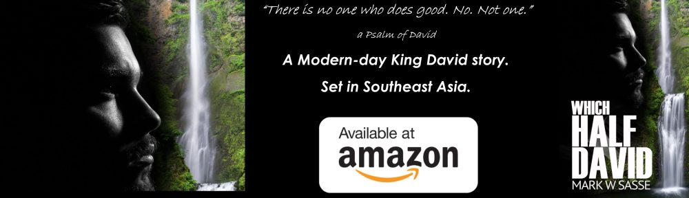 FREE! WHICH HALF DAVID: A NOVEL – Author Mark W Sasse